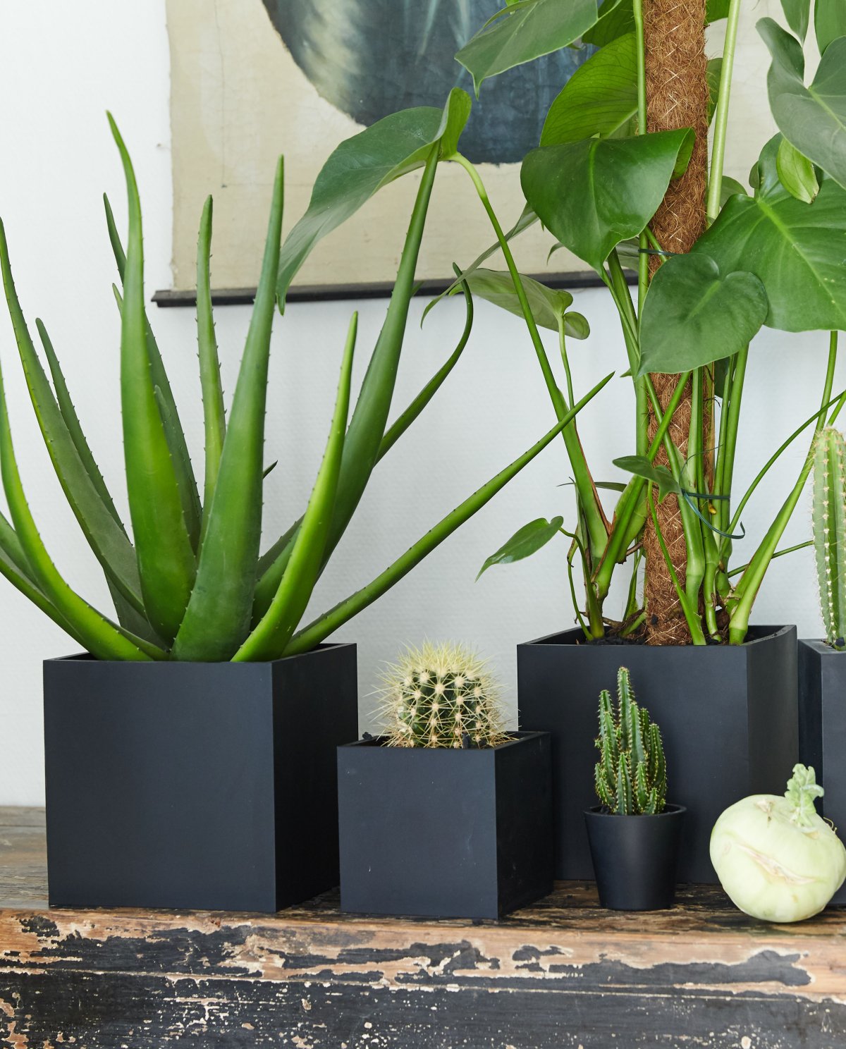 Sej Design Multi Kvadrat M - Køkken - Dynespecialisten